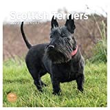 Scottish Terrier Gifts/Presents/Merchandise (Page 1)