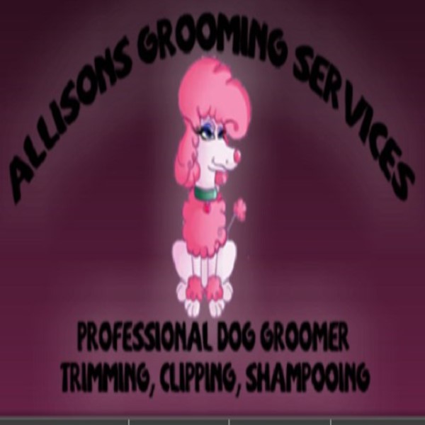 Dog Grooming Thatcham Berkshire RG19 3XJ Dog Grooming Thatcham Berkshire RG19 3XJ